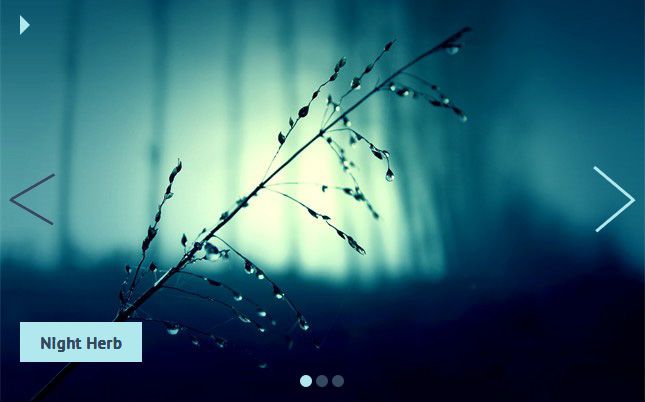 Carousel Slider Amazing 100 CSS Slider